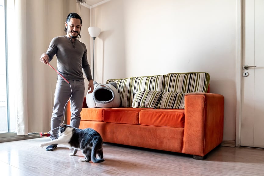 What is the Penalty for Stealing Electricity in Texas?